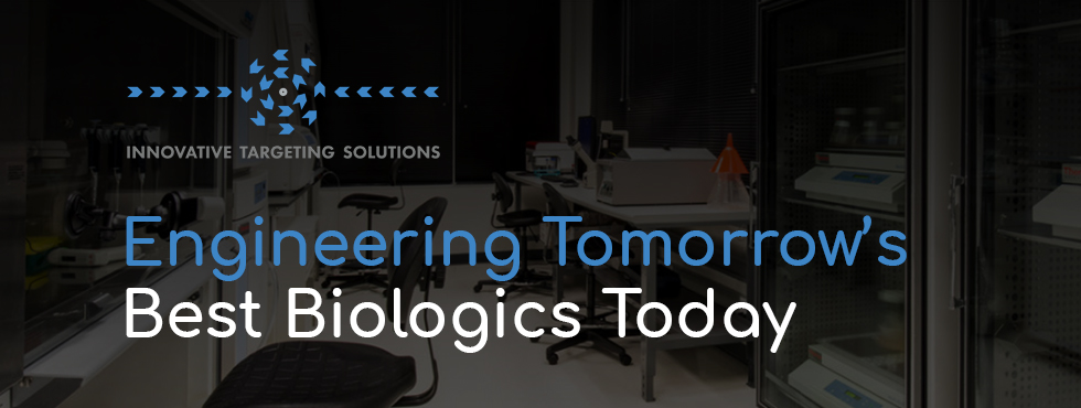 Innovative Targeting Solutions